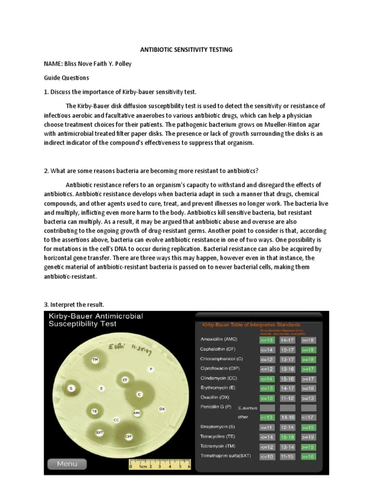 Antibiotic Sensitivity Testing | PDF | Antimicrobial Resistance | Bacteria