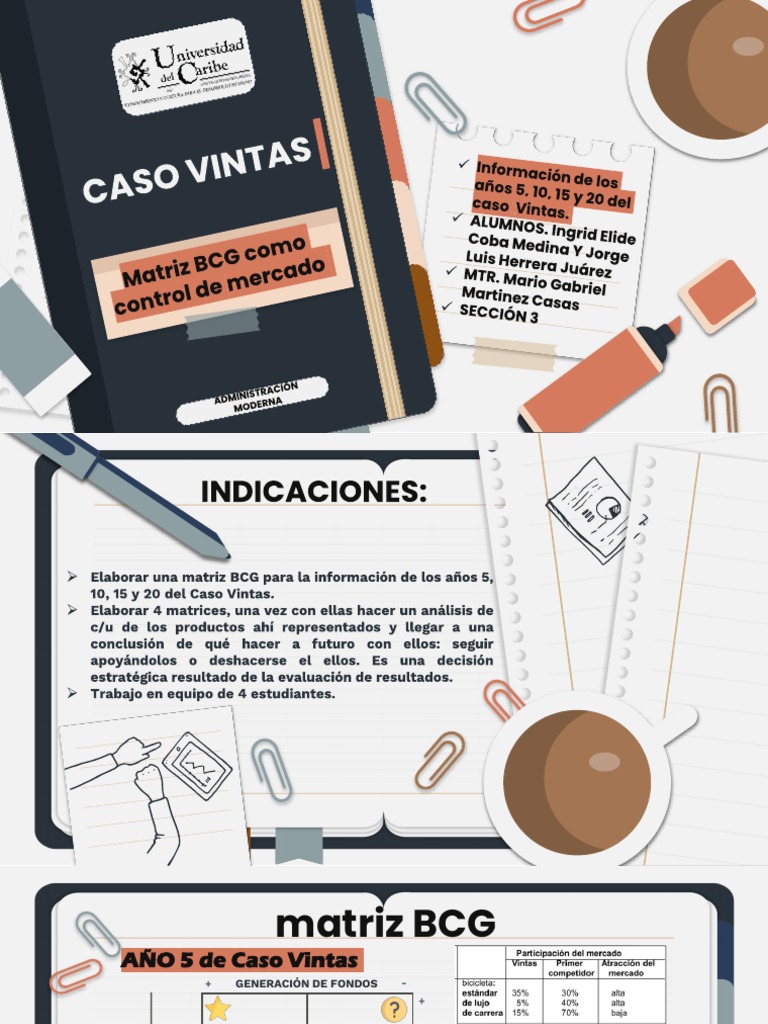 Análisis de Matriz BCG del Caso Vintas | PDF | Mercado (economía) | Economias