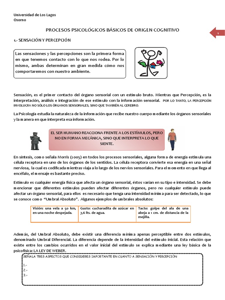 GUÍA Procesos Psicológicos Básicos | PDF | Memoria | Percepción