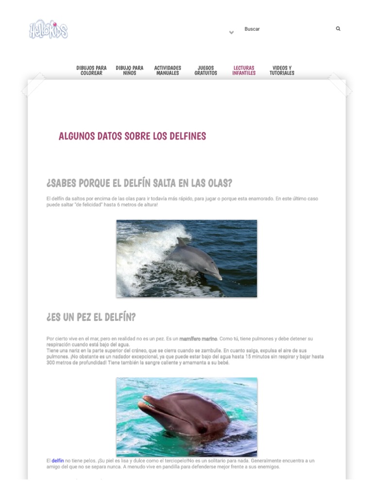 Lecturas Infantiles Algunos Datos Sobre Los Delfines | PDF | Pescado