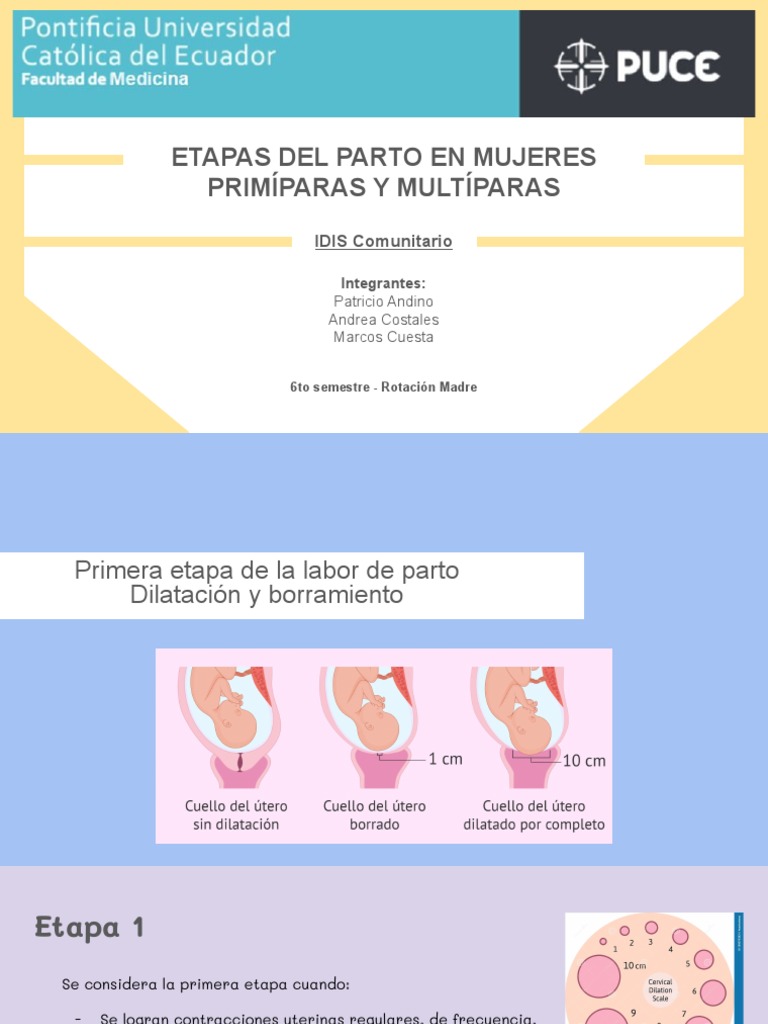 Etapas Del Parto | PDF | Parto | Embarazo Mamífero