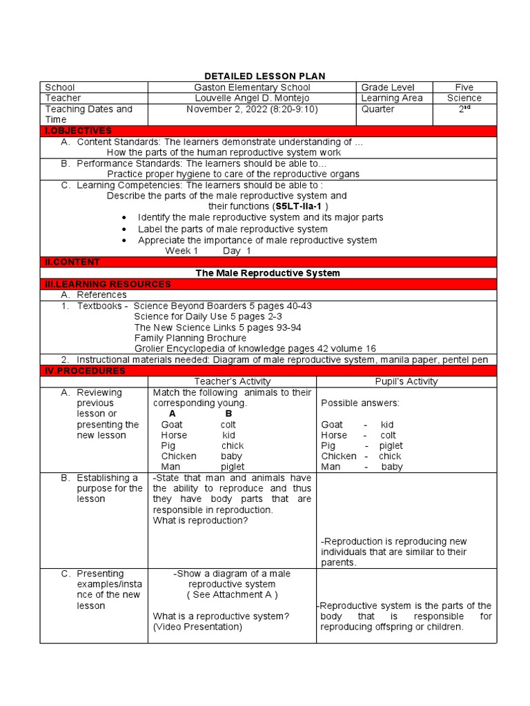 Male Reproductive System Lesson Plan | PDF | Reproductive System | Learning
