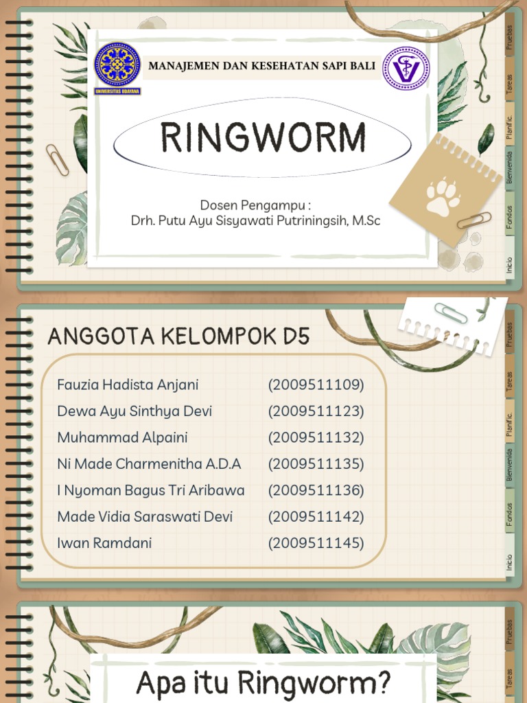 TUGAS PPT MANAJEMEN DAN KESEHATAN SAPI BALI (RINGWORM) - Kelompok D5 | PDF