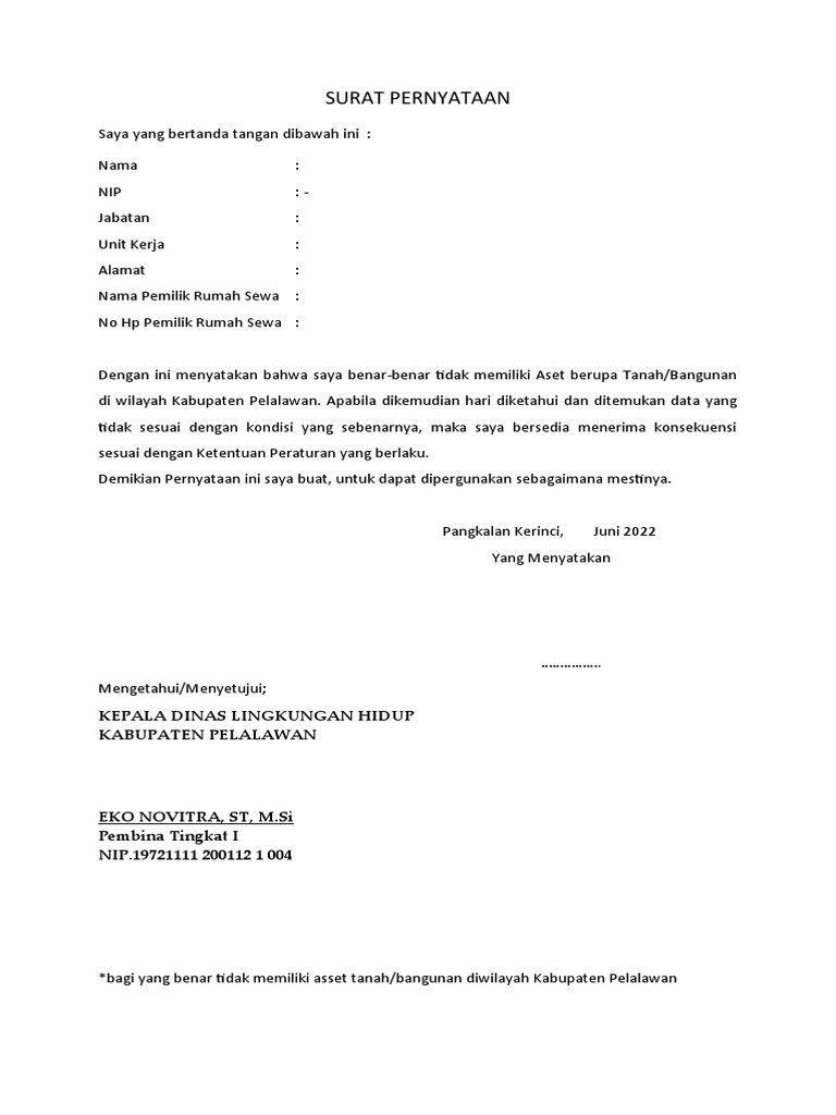 Surat Pernyataan PBB | PDF