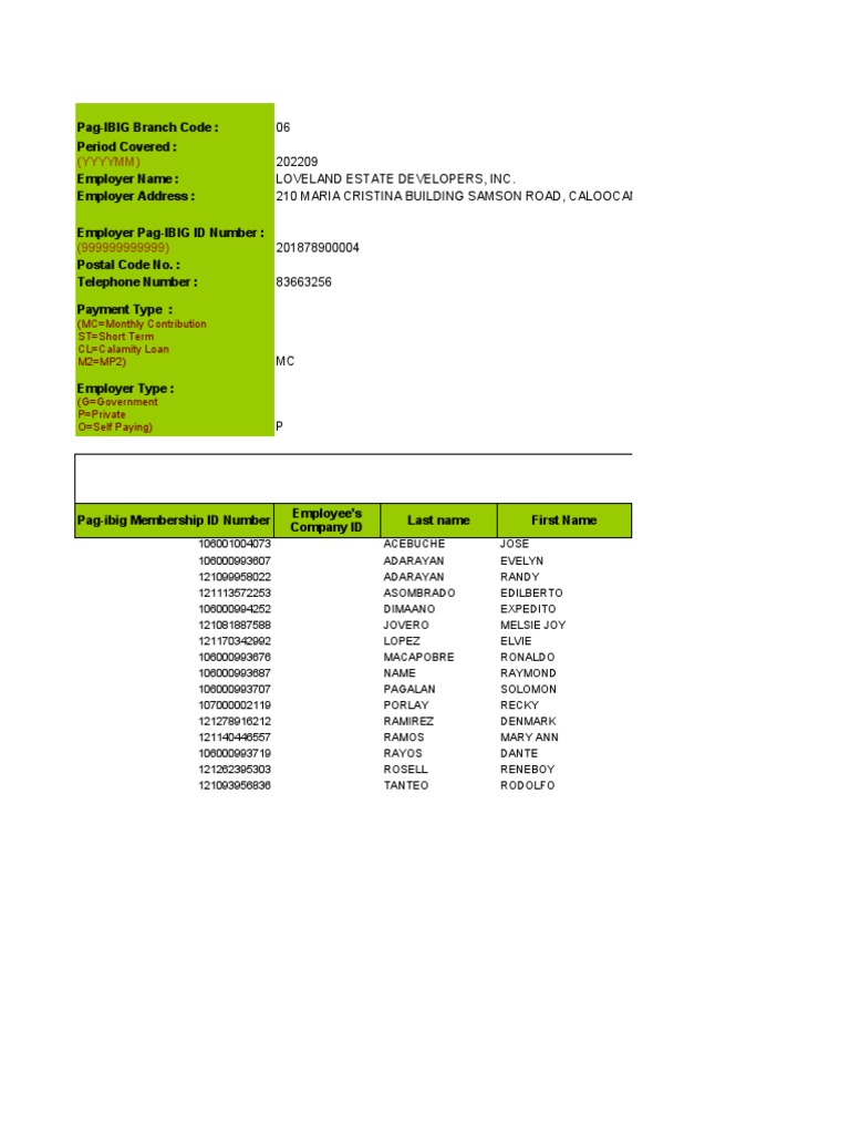2b Pag IBIG File Converter v4 0 | PDF