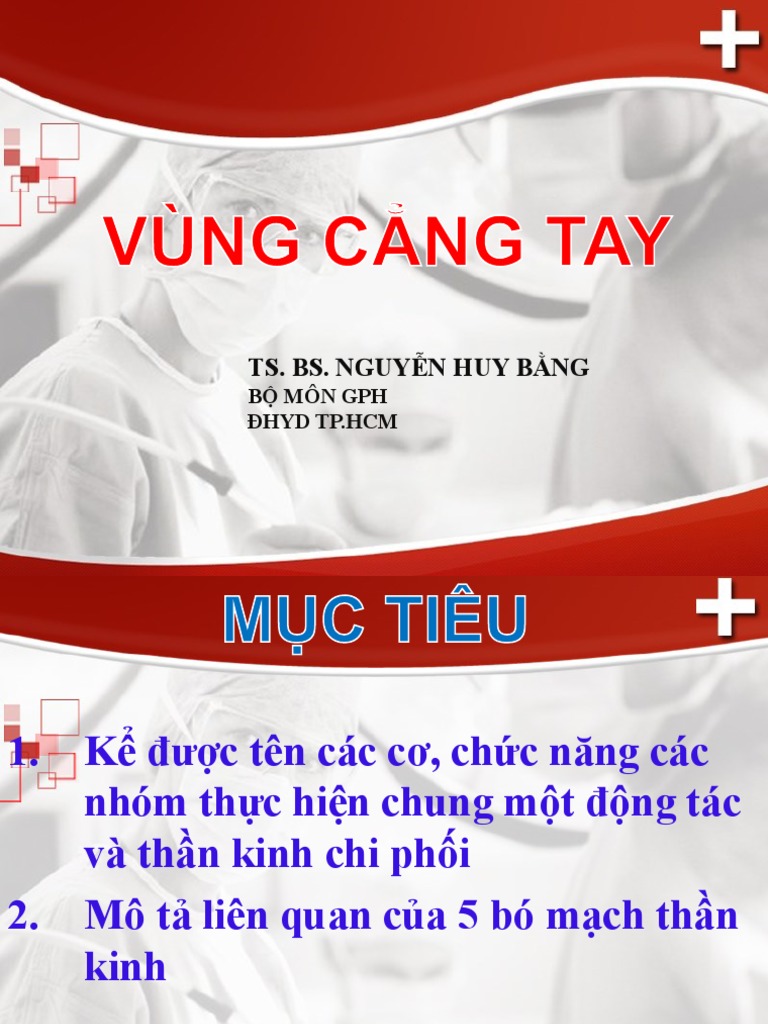 Vung Cang Tay 2020 | PDF