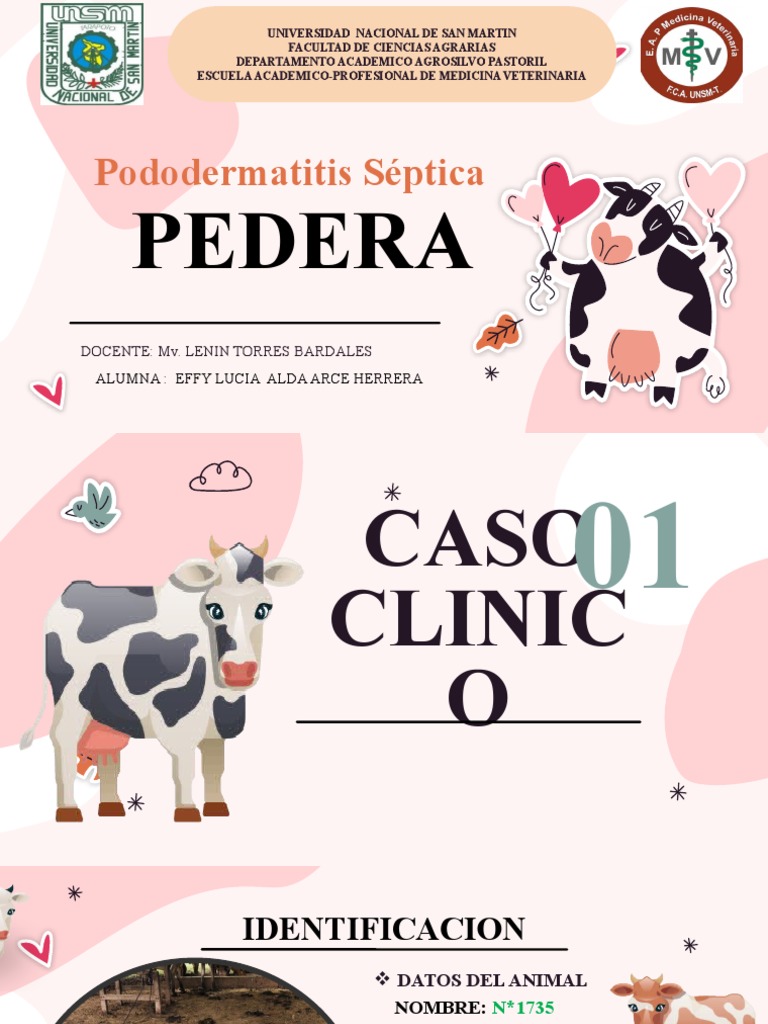 Caso Clinico 1 Pedera Wii | PDF | Medicina CLINICA | Enfermedades y ...
