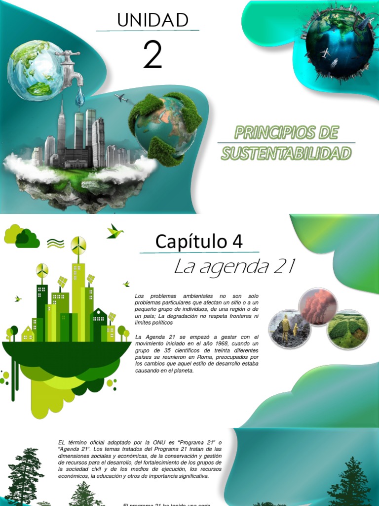 Unidad 2 Principios de Sustentabilidad | PDF | Entorno natural | Sustentabilidad