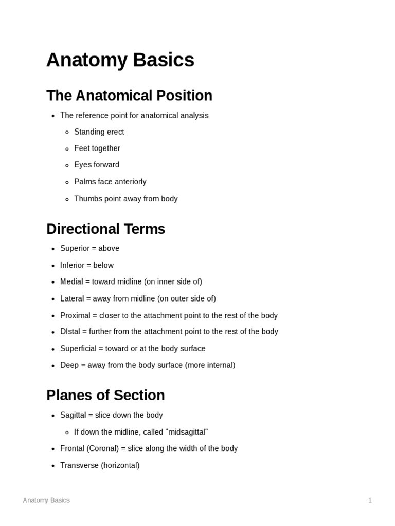 Anatomy Basics | PDF