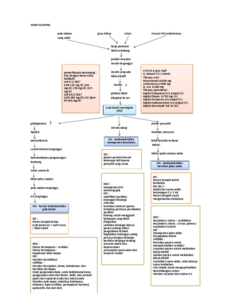 Mind Mapping Icu | PDF