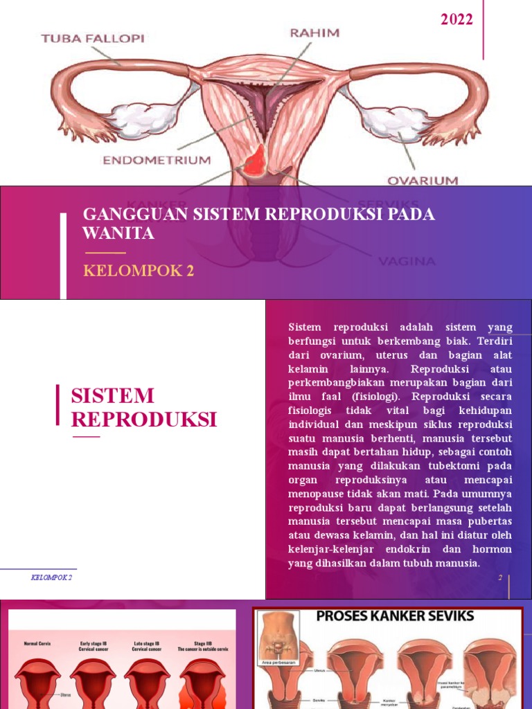 Gangguan Sistem Reproduksi Pada Wanita | PDF | Pengembangan Diri | Kesehatan Holistik