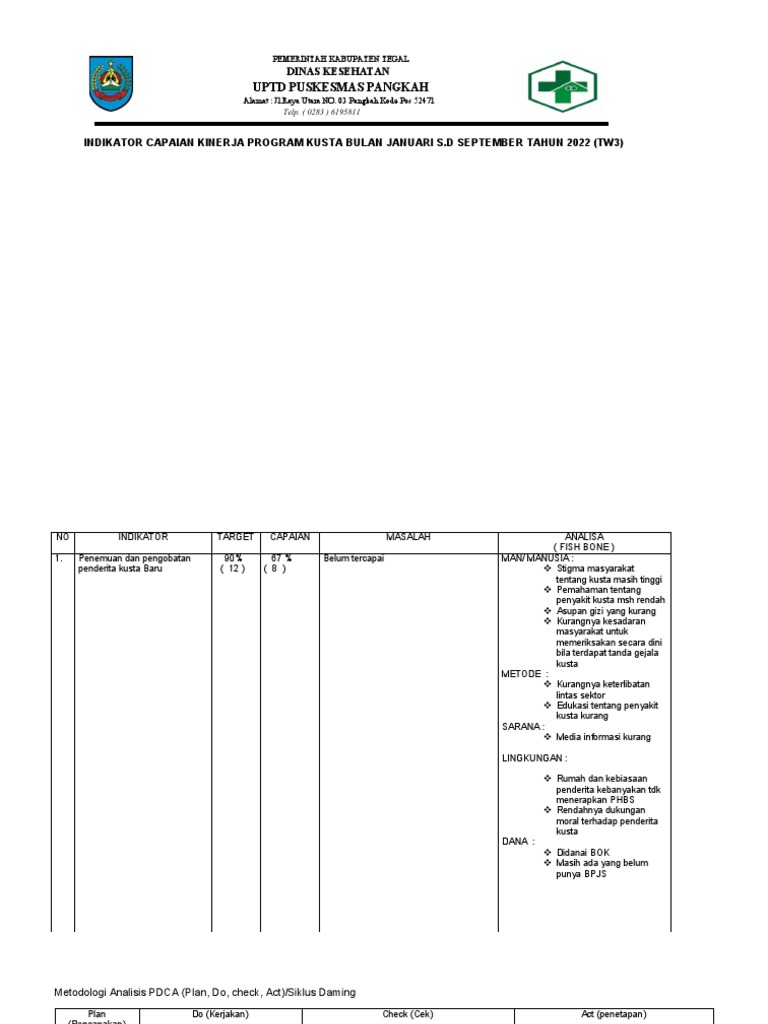 Analisa Kinerja Program Kusta TW3 2022 | PDF