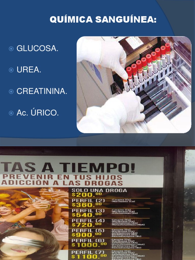 Presentación de Quimica Sanguinea | PDF | Gota | Especialidades Medicas