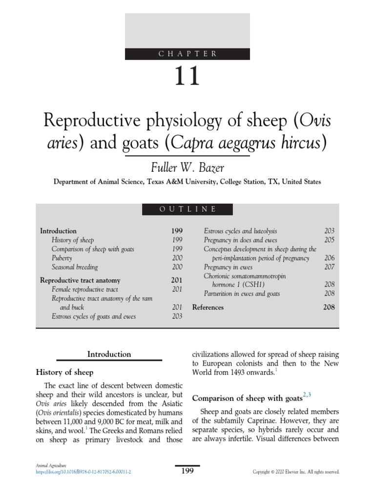 Reproductive Physiology of Sheep and Goats | PDF | Testicle ...