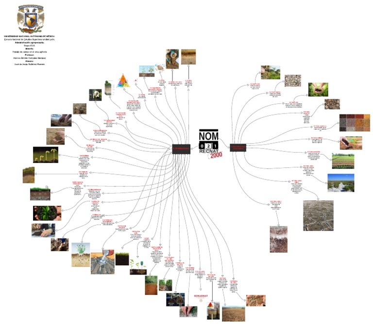 Nom-021 - 3 y 4 | PDF | Suelo | Sal (química)