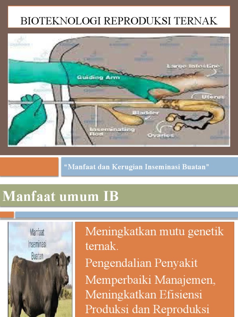 Bioteknologi Reproduksi Ternak | PDF
