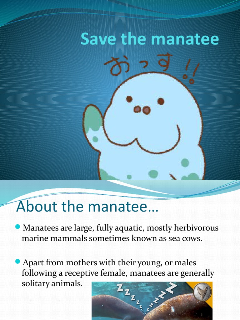 Save The Manatee | PDF