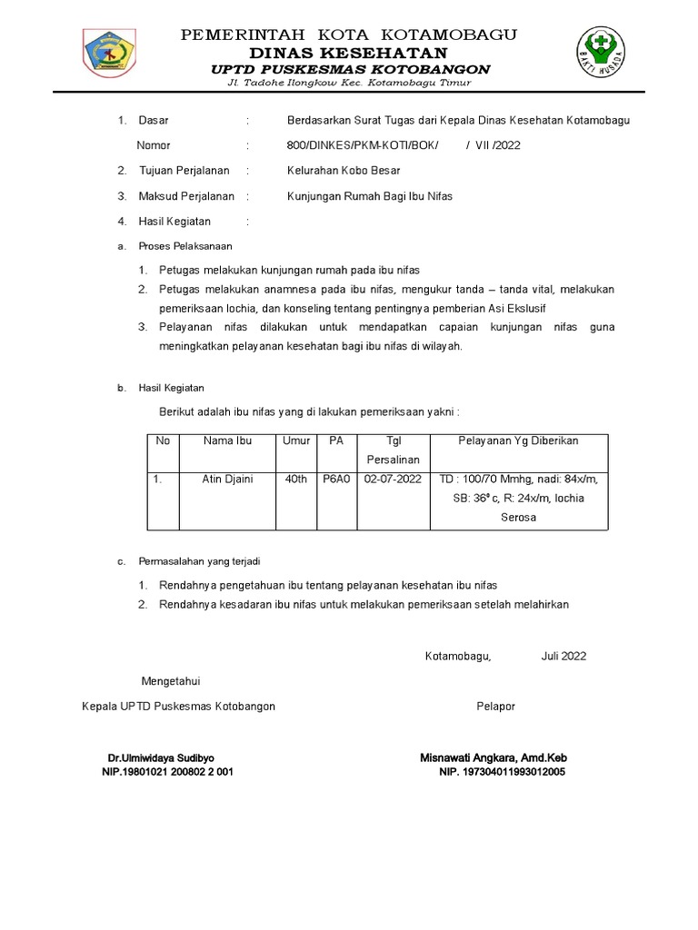 Kunjungan Nifas | PDF