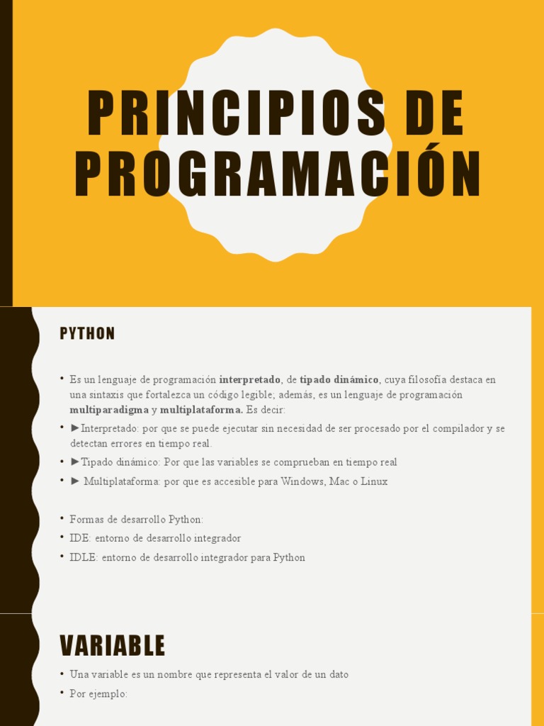 Principios de Programación | PDF | Variable (informática) | Lenguaje de programación