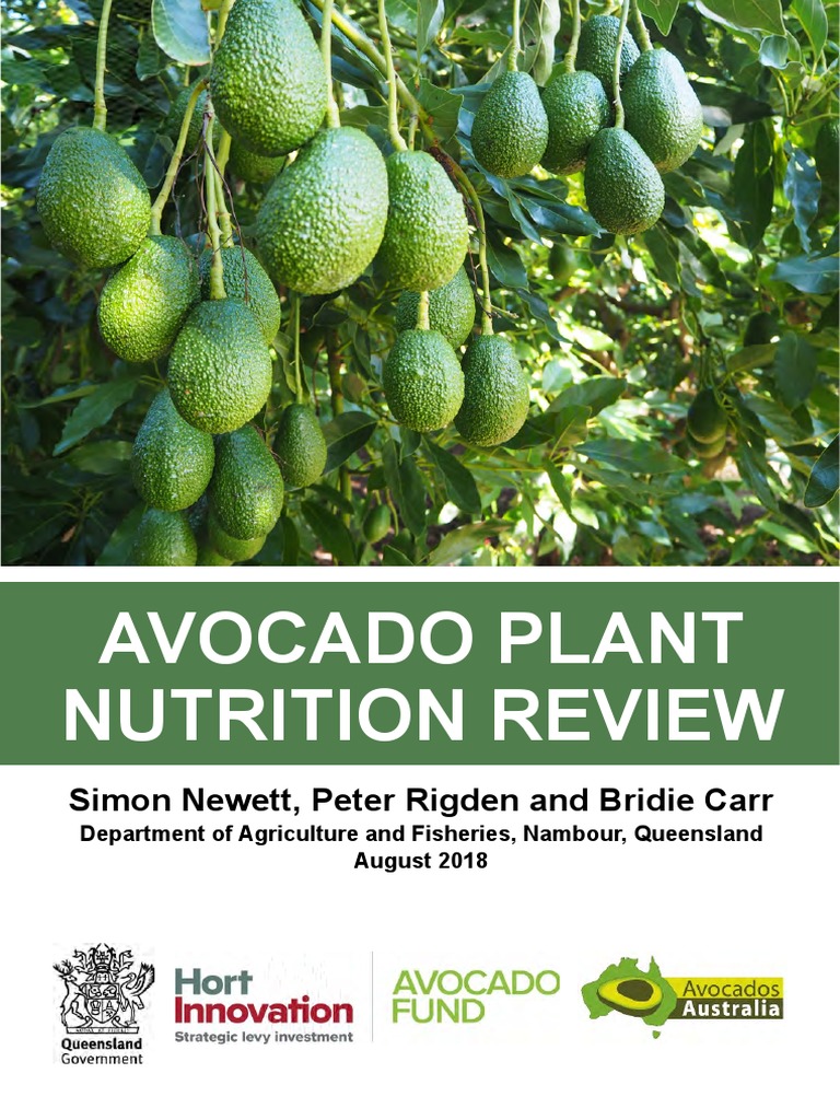 Avocado Plant Nutrition Review 2018 Cover | PDF | Fertilizer | Soil