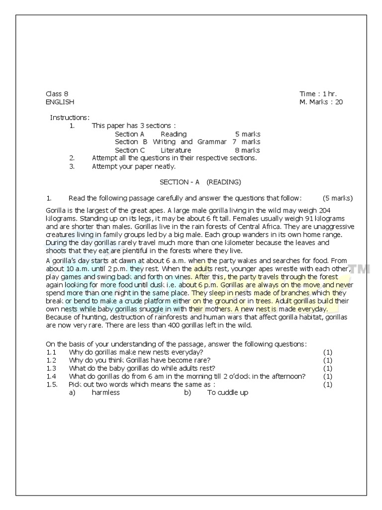English Sample Paper 9 | PDF | Gorilla