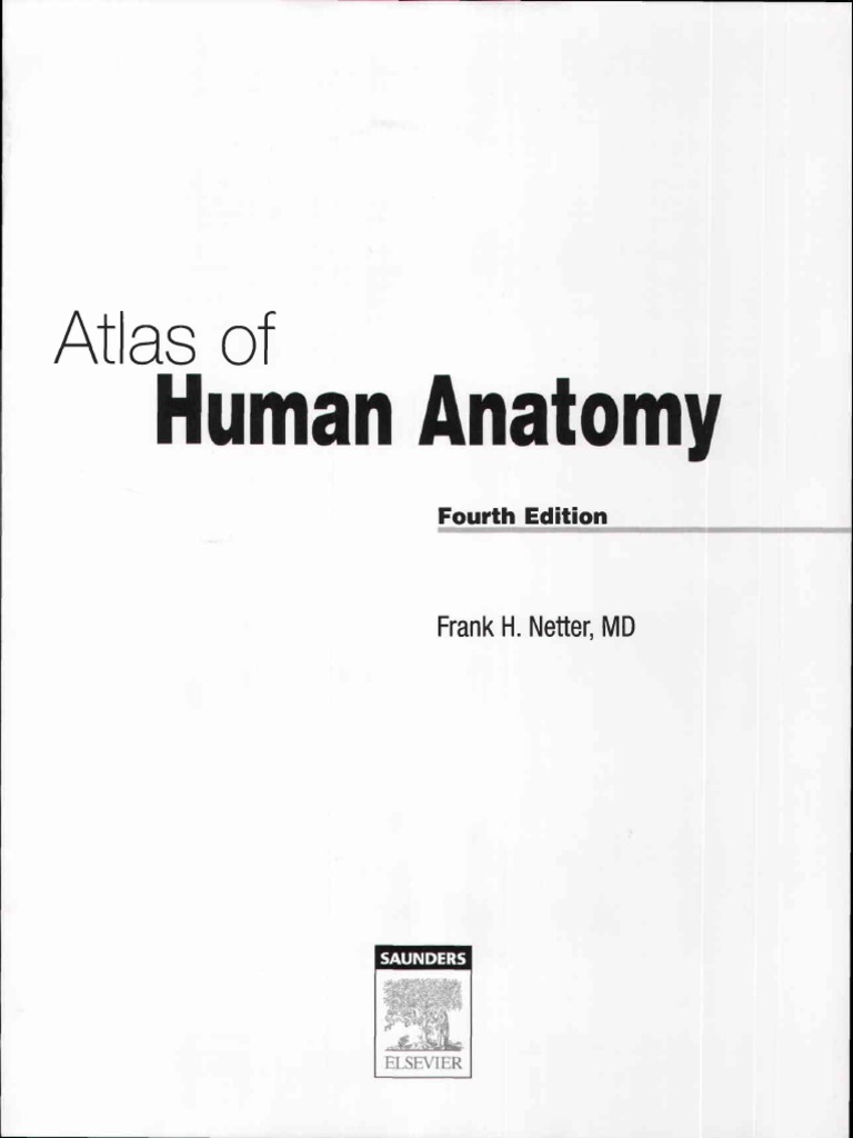 Atlas Human Anatomy Netter | PDF | Vertebra | Human Nose