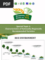 1 Rice Morphology and Growth Stages | PDF | Rice | Seedling