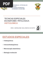 Tinción Verde Metilo-PIRO | PDF | Tinción | Adn
