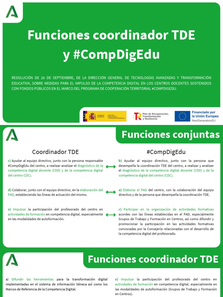 Funciones CompDigEdu y Coordinador TDE | PDF | Negocios | Arte