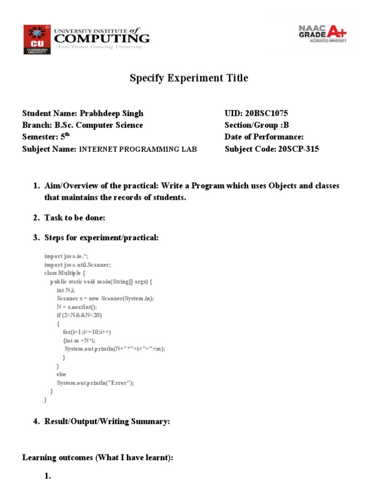 Sample Worksheet | PDF