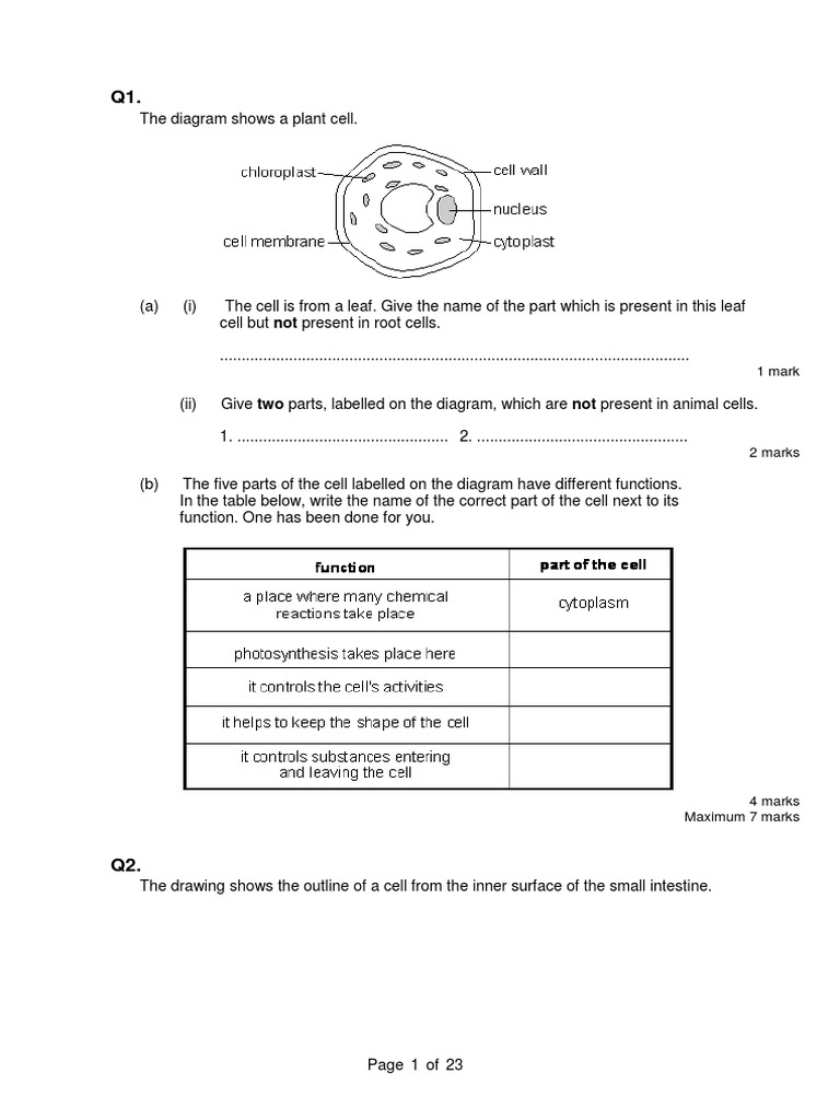 Year 8 Science Progress 3 Practice Questions and Answers | PDF ...