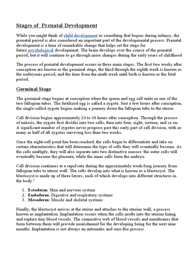Stages of Prenatal Development | PDF | Prenatal Development | Implantation (Human Embryo)