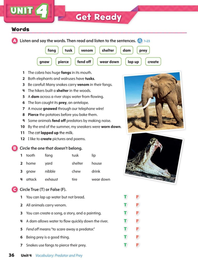 Oxford Discover 5 SB UNIT 4 | PDF