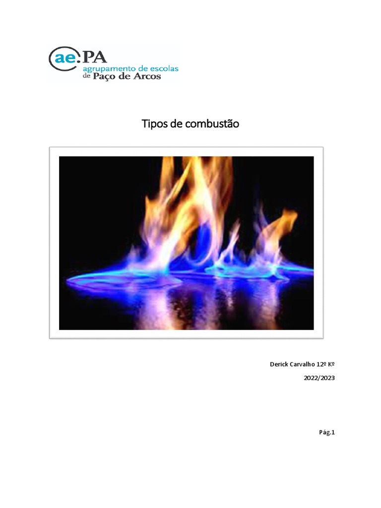 Tipos de Combustão | PDF | Combustão | Engenharia de Processos