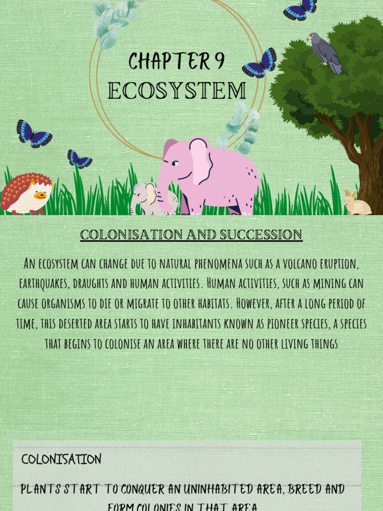 Chapter 9 Ecosystem | PDF | Ecology | Habitat