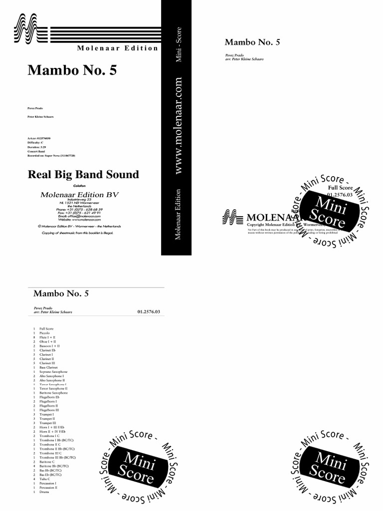Mambo No 5 Score | PDF