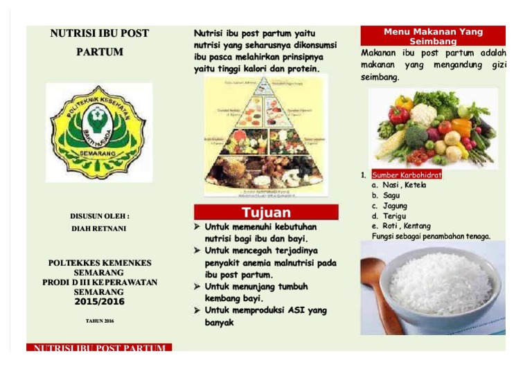 PDF Liflet Nutrisi Ibu Post Partum Compress | PDF