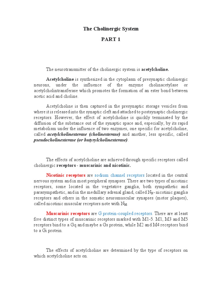 The Cholinergic System - PART 1 | PDF | Acetylcholine | Synapse