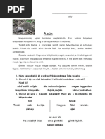 Mintafeladatok 2. Osztály - Nyelvtan | PDF