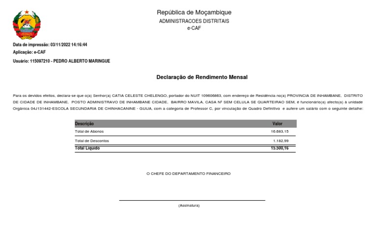 República de Moçambique: Declaração de Rendimento Mensal | PDF