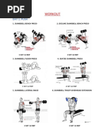 Ivysaur's Intermediate Aesthetic Routine Print | PDF