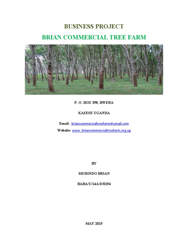 Tree Farm Business Plan | PDF | Value Added Tax | Expense