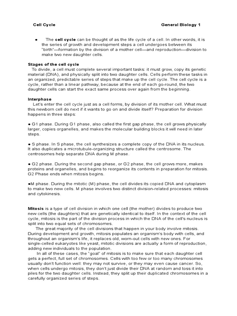 Cell Cycle | PDF | Meiosis | Mitosis