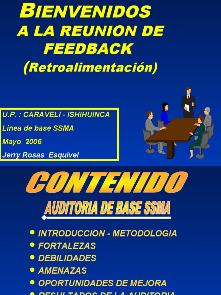 Reunión de Feedback - Caraveli | PDF