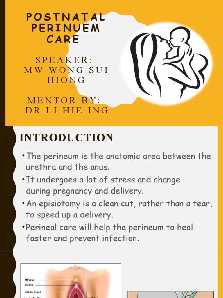 Taking Care of Your Perineum | PDF | Childbirth | Vagina Taking Care of Your Perineum | PDF | Childbirth | Vagina