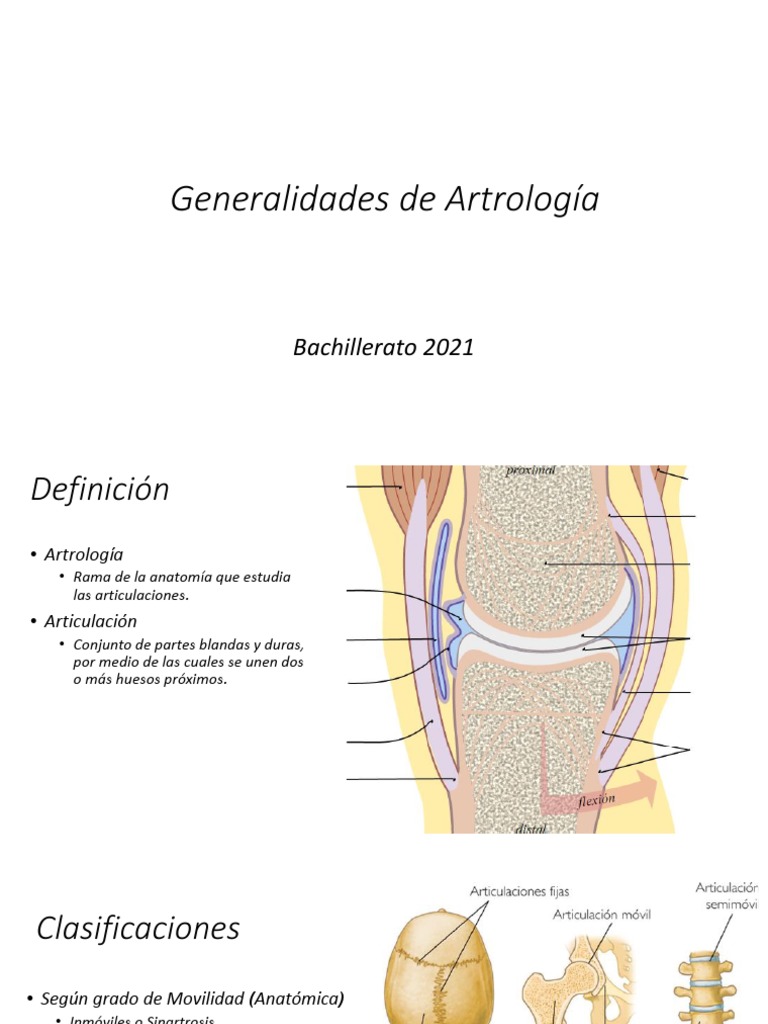 Generalidades sobre las articulaciones | PDF | Articulación | Anatomía