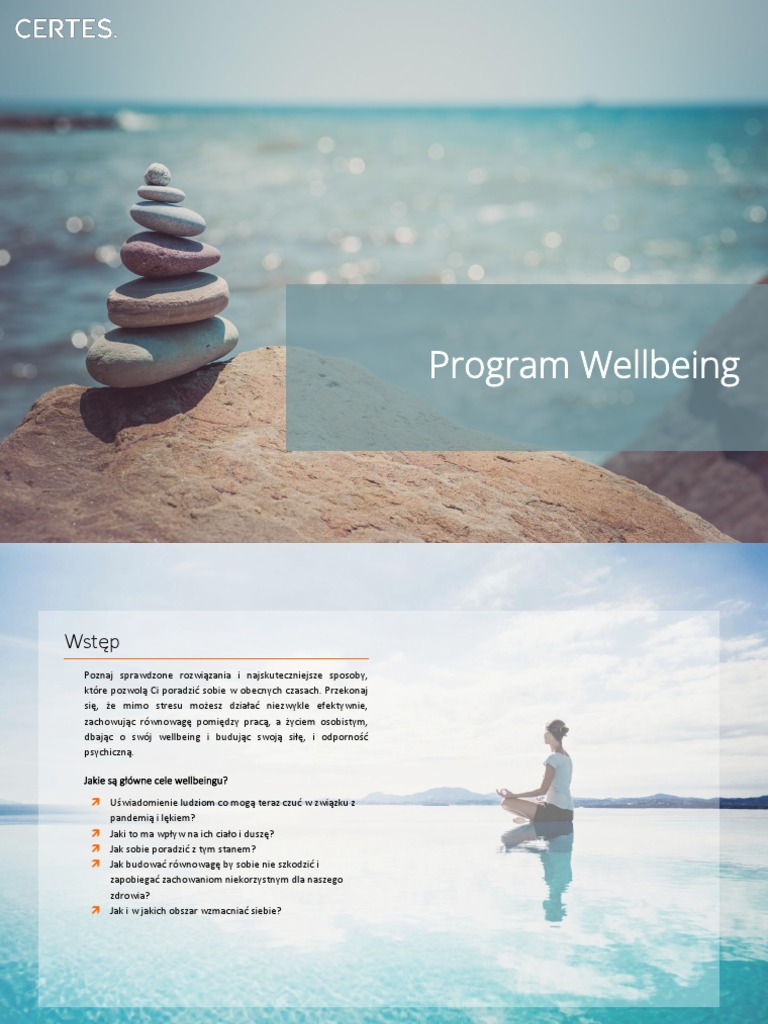 Program Wellbeing | PDF