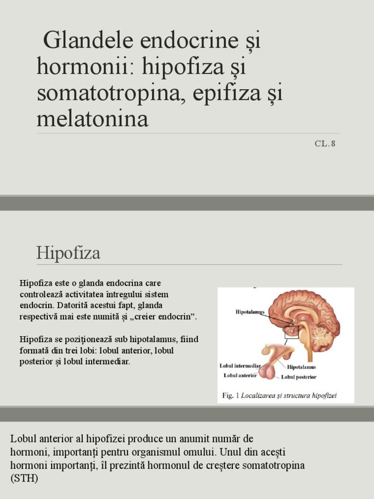 Glandele Endocrine Și Hormonii - Hipofiza Și Somatotropina, Epifiza Și Melatonina | PDF