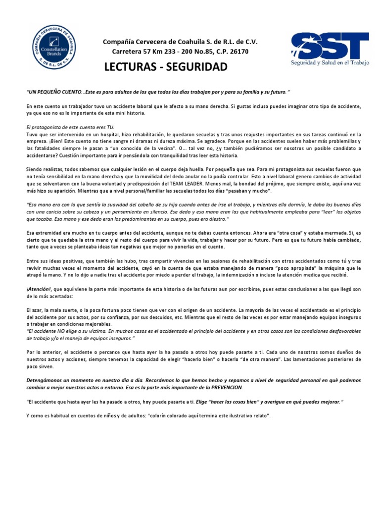 Lecturas - Seguridad | PDF