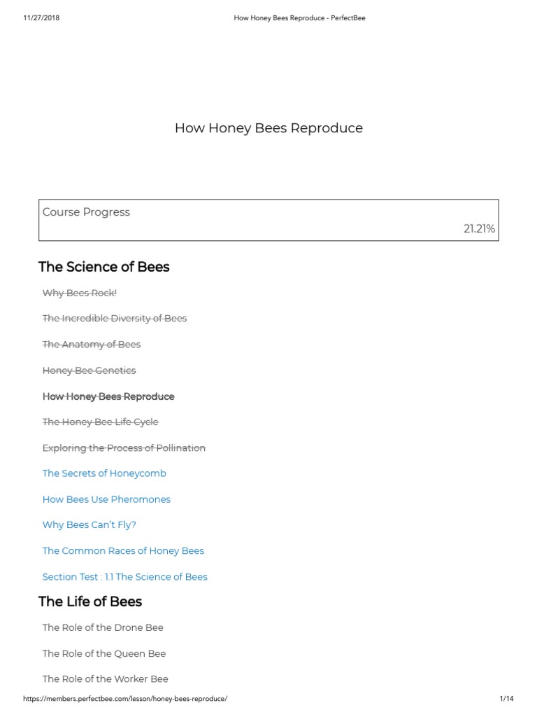5-How Honey Bees Reproduce - PerfectBee | PDF | Honey Bee | Beekeeping